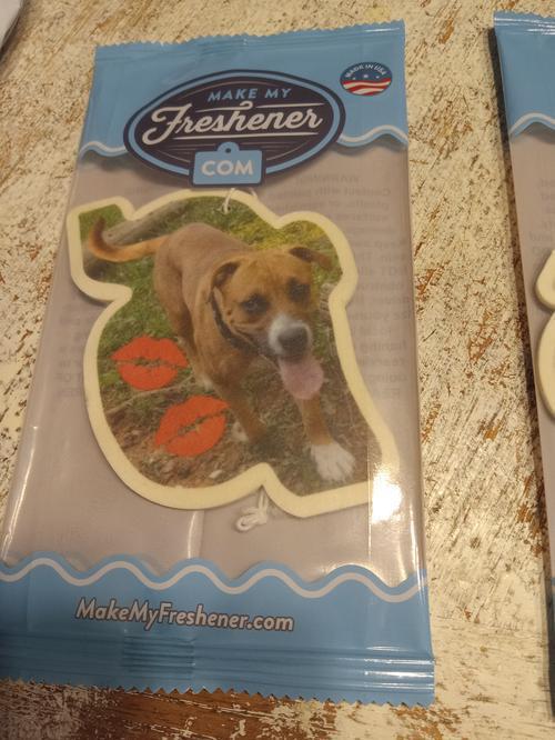 Custom Air Fresheners | Lowest Prices | Custom Shapes
