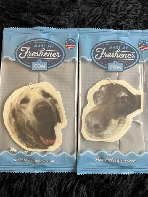 Custom Air Fresheners